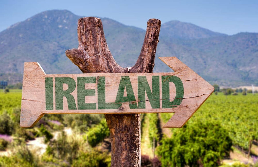 5 Irish Wines You Must Try | Elite Wine